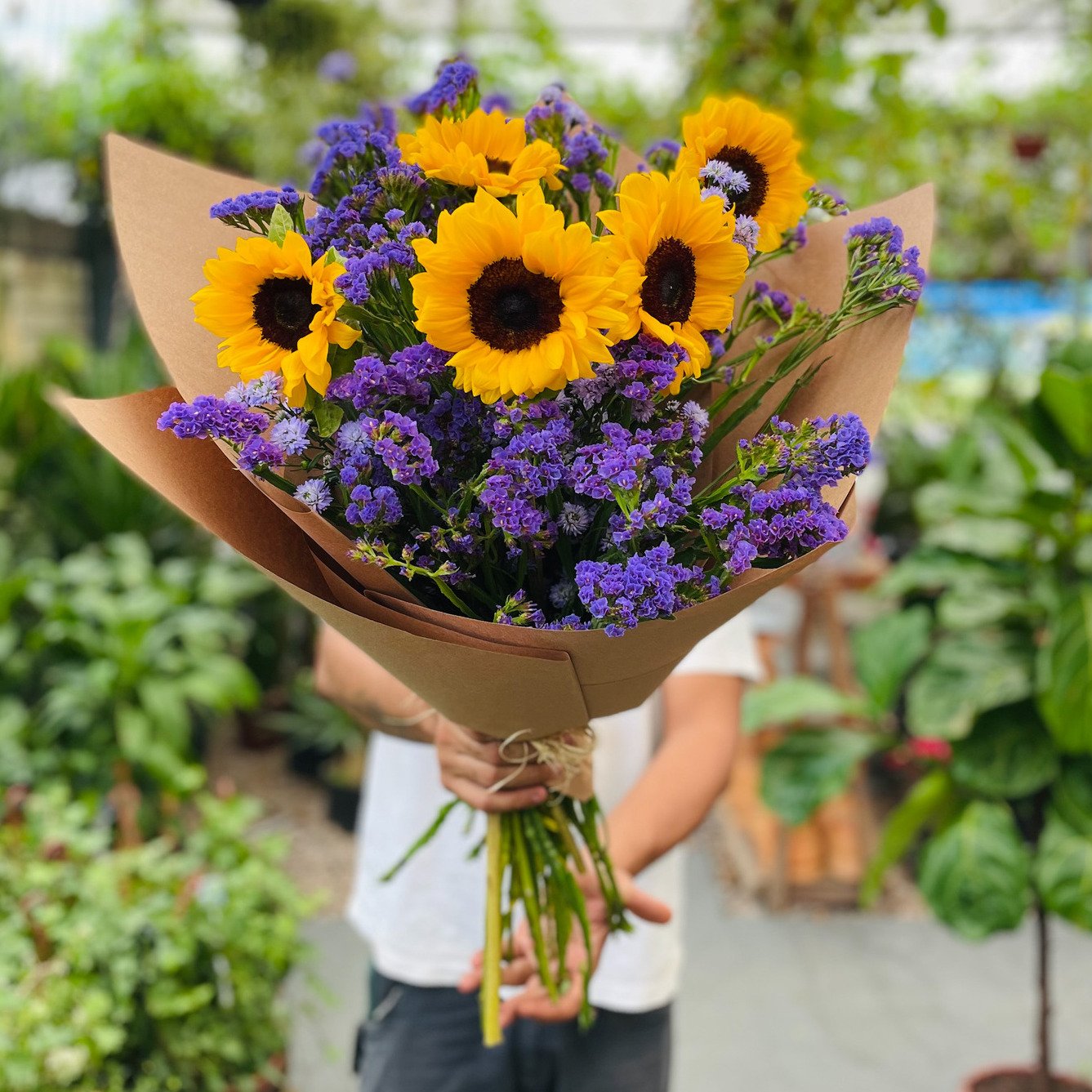 Buquê Com 6 Girassóis | Nova Flor