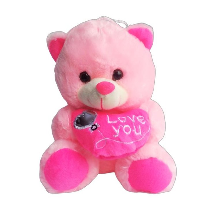 Ursinho Rosa com Coração | Nova Flor